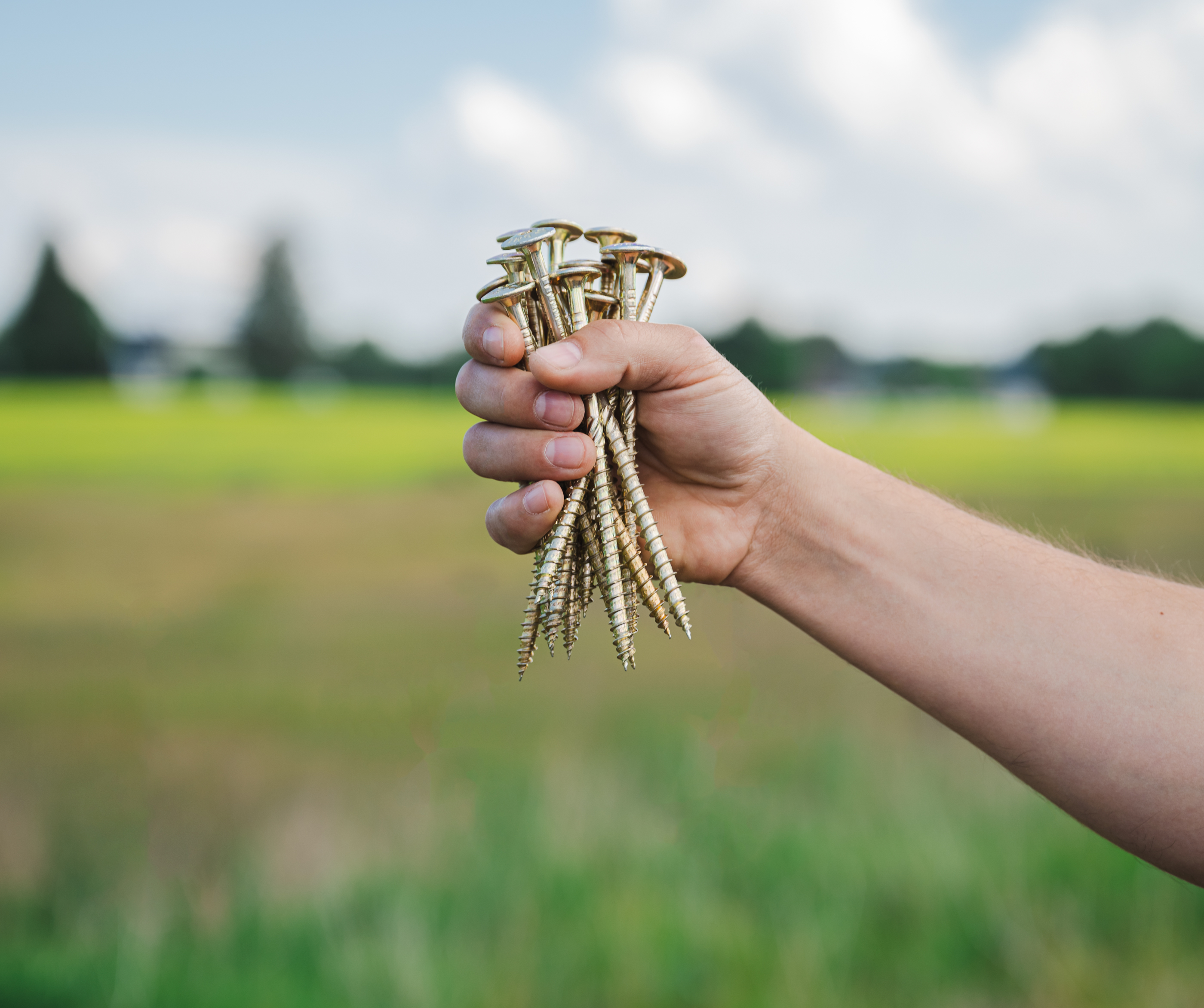 Quality and Environment | Domax